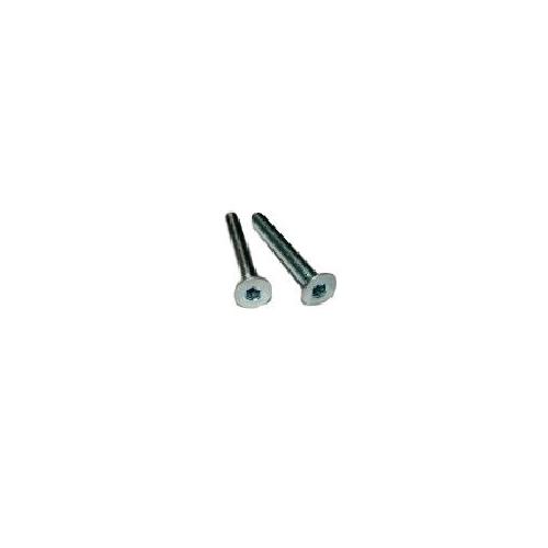 Ebco M6x50 mm Allen Socket CSK & Philips Head Screw, ACS-650 Pack of ...